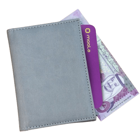 حلول مالية متكاملة لتنظيم أموال الشركات | Moola